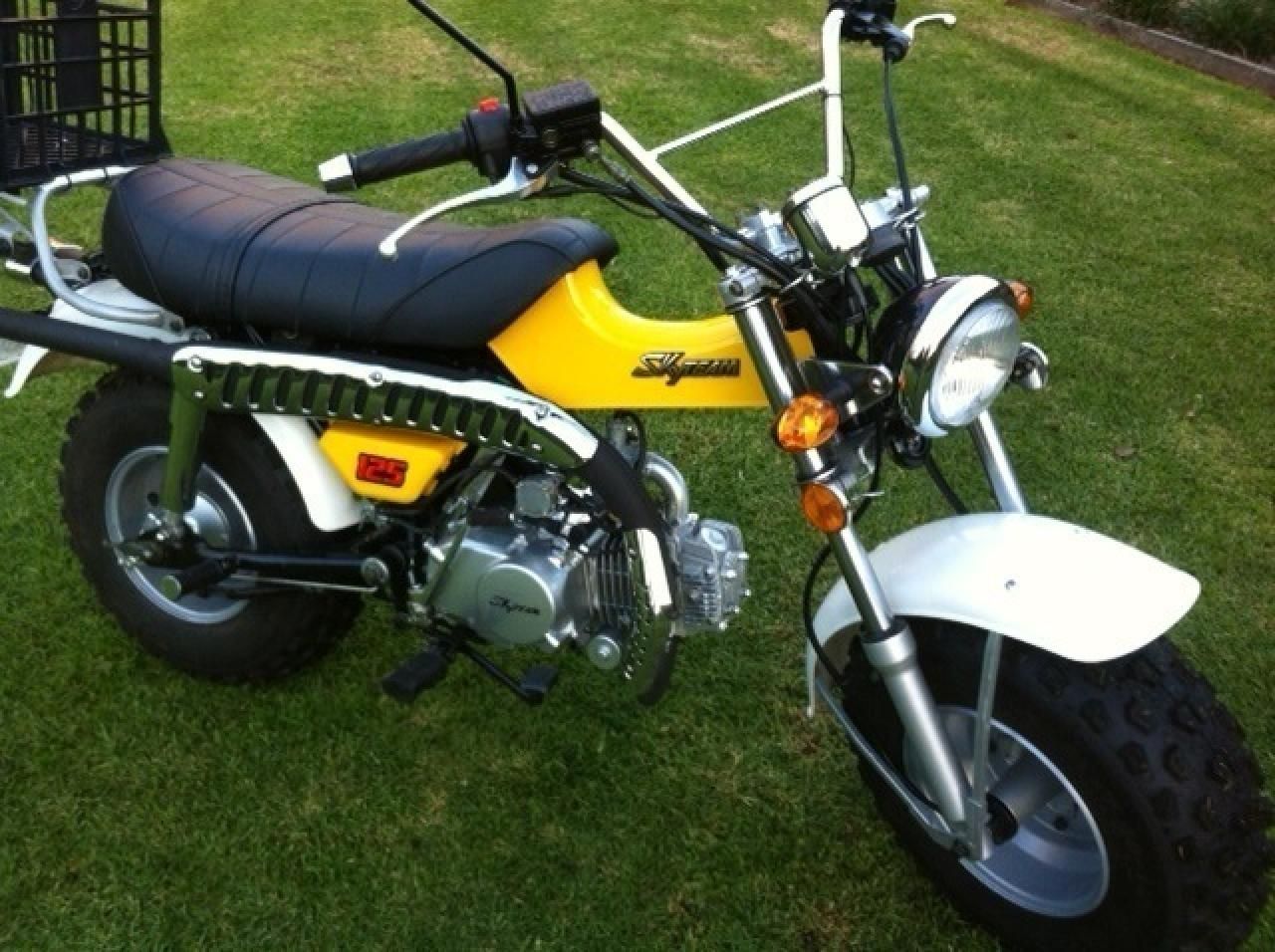 Skyteam T-Rex 125 Motorcycles - Photos, Video, Specs, Reviews | Bike.Net