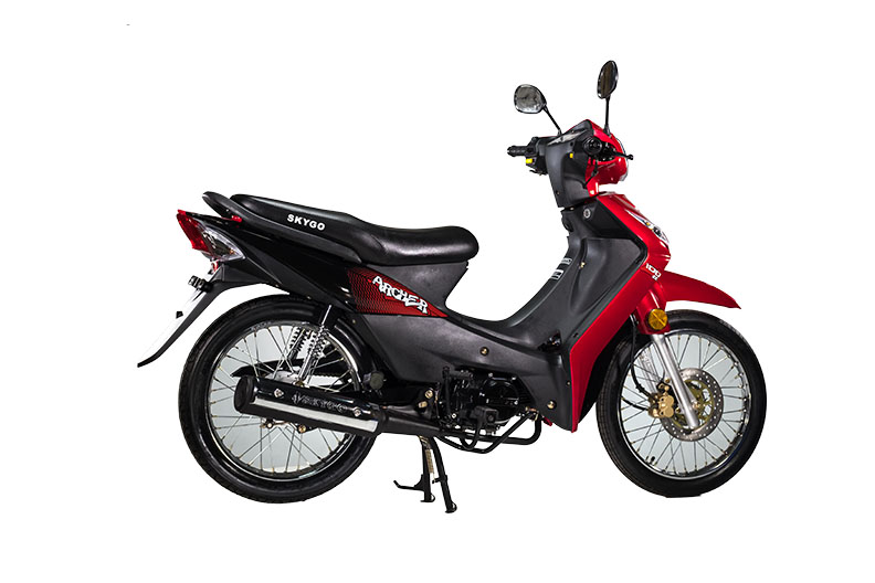 Skygo Archer Motorcycles - Photos, Video, Specs, Reviews | Bike.Net