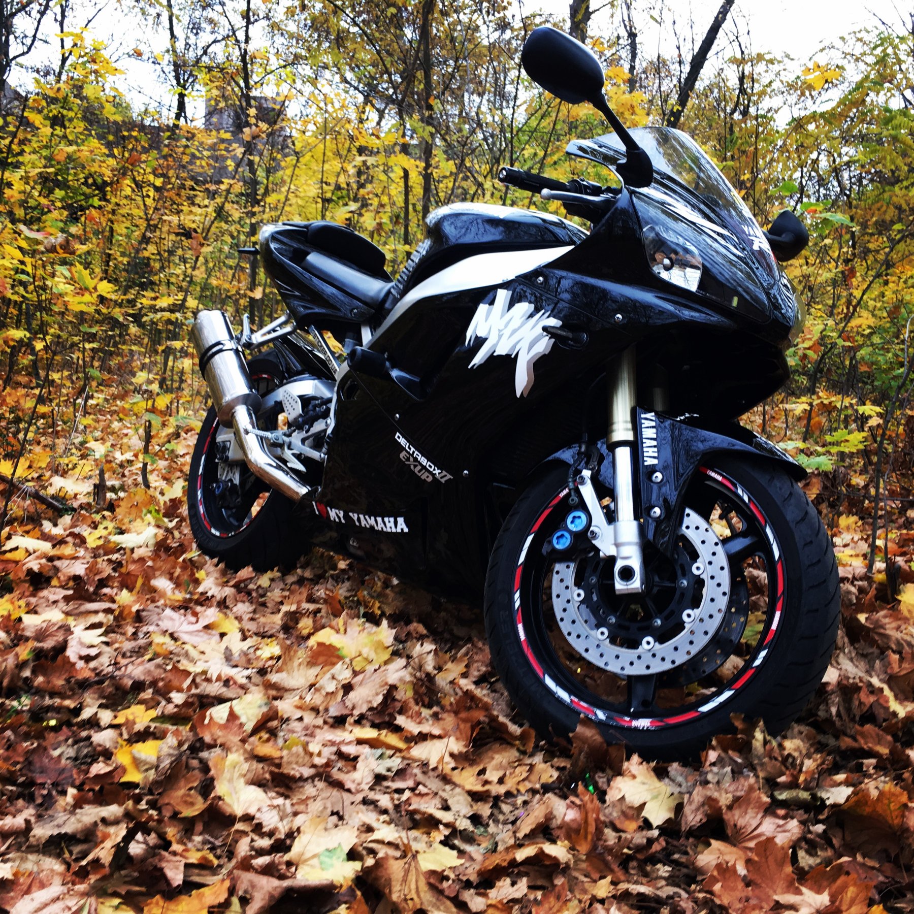 Yamaha YZF-R1, 2000 Motorcycles - Photos, Video, Specs, Reviews | Bike.Net