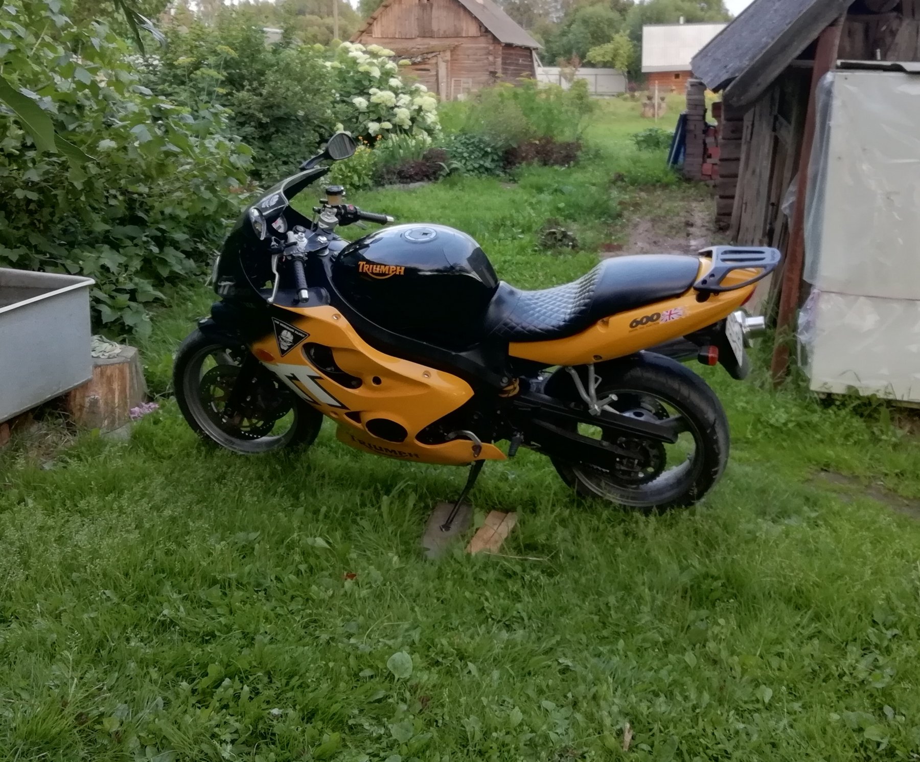 Triumph TT 600, 2001 Motorcycles - Photos, Video, Specs, Reviews | Bike.Net