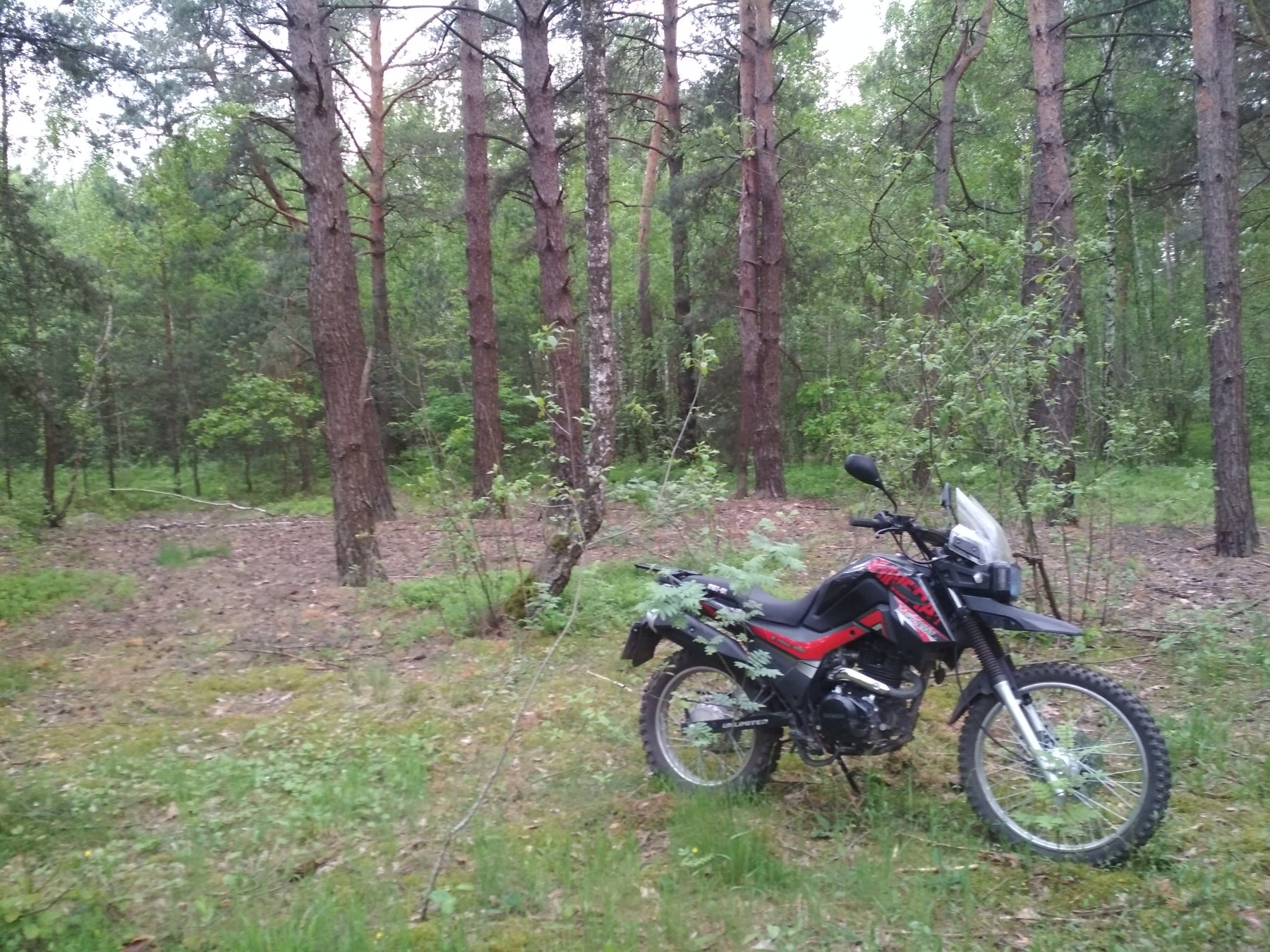 Shineray XY250GY-2 Motorcycles - Photos, Video, Specs, Reviews | Bike.Net